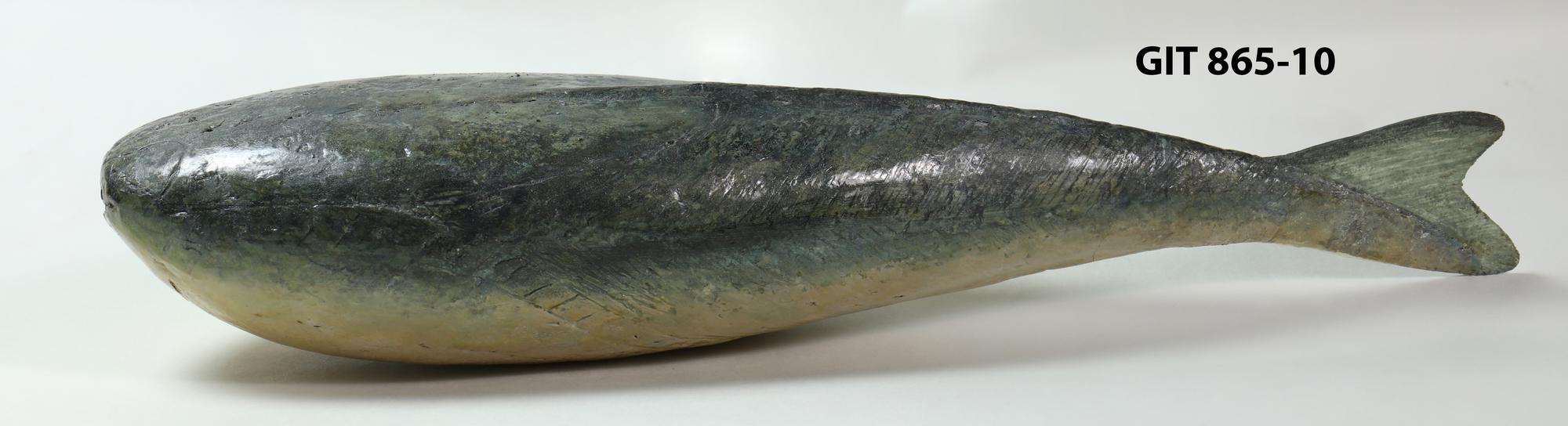 Sacabambaspis | Fossiilid.info