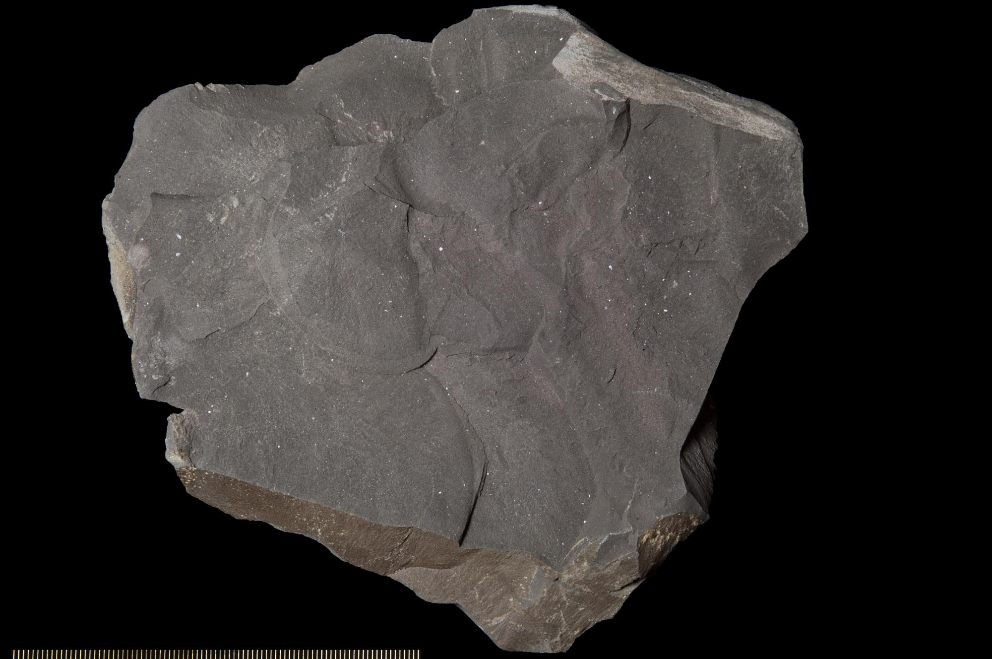 Mineraalid, kivimid, maavarad