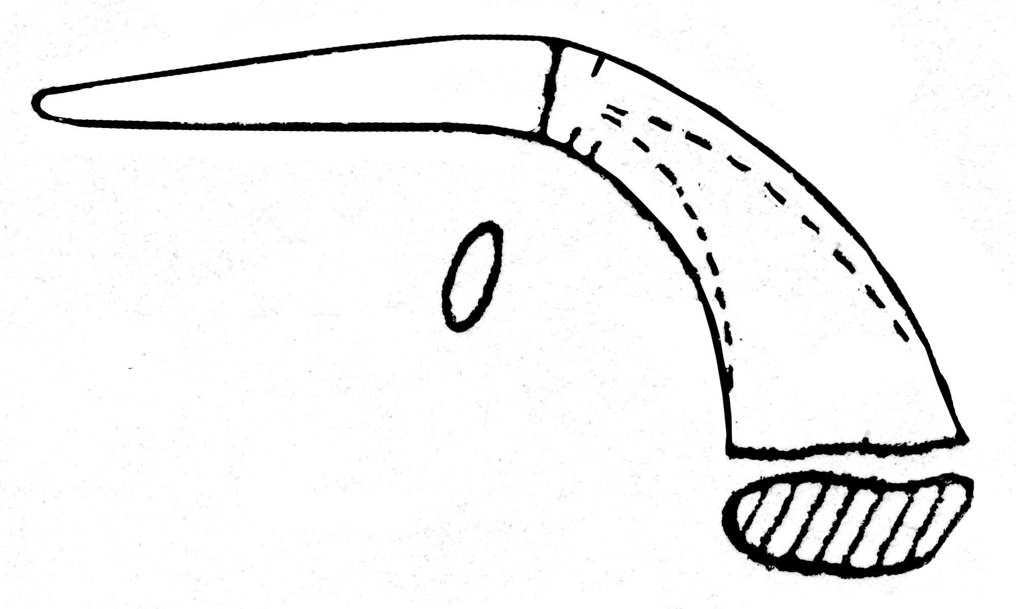 Eoconodontus | Fossiilid.info