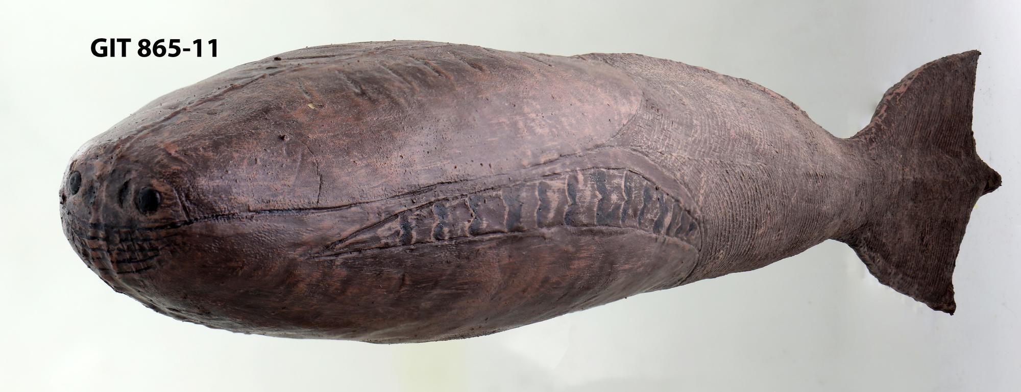 Sacabambaspis janvieri | Fossiilid.info