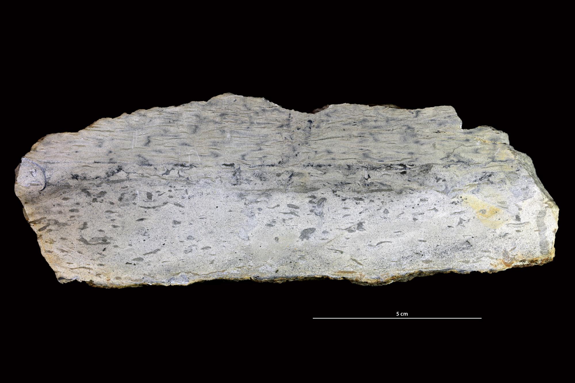 Mineraalid, kivimid, maavarad