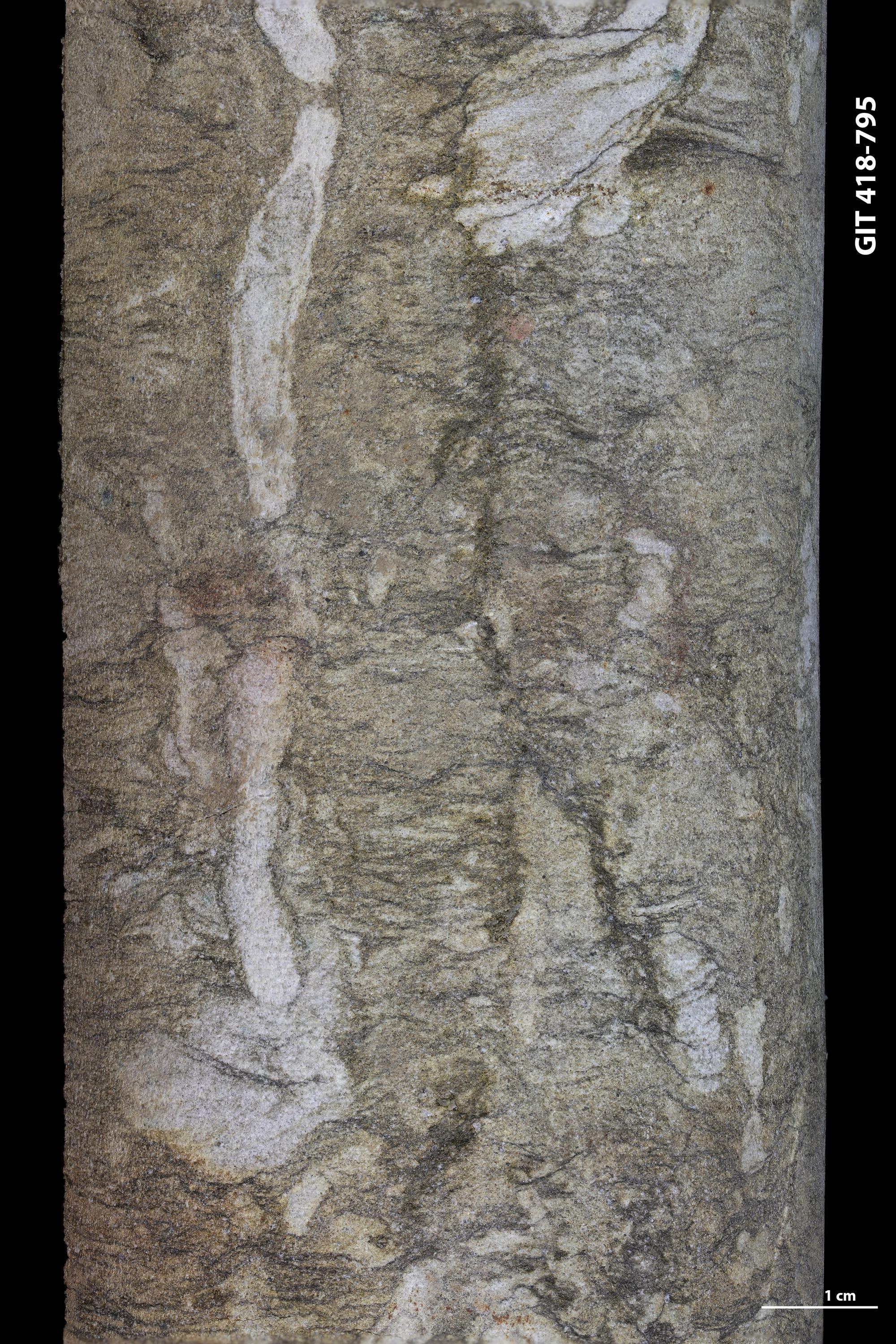 Soft-sediment trace fossils | fossiilid.info