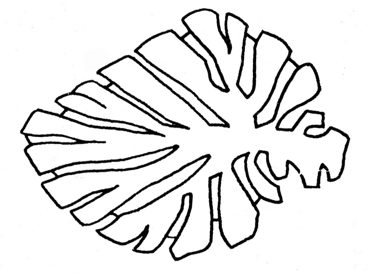 Thelodus admirabilis | fossiilid.info