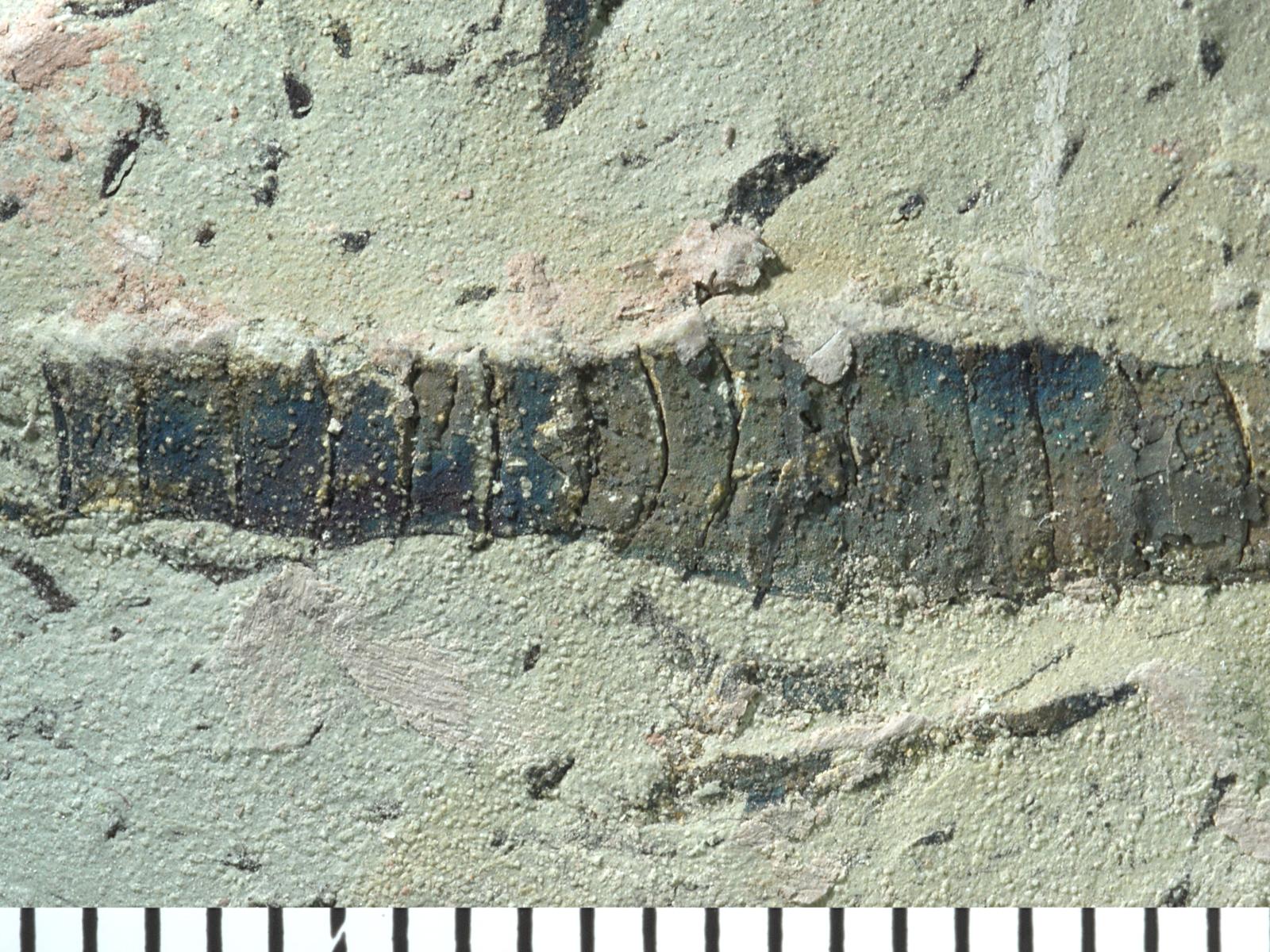 Hyolithellidae | Fossiilid.info