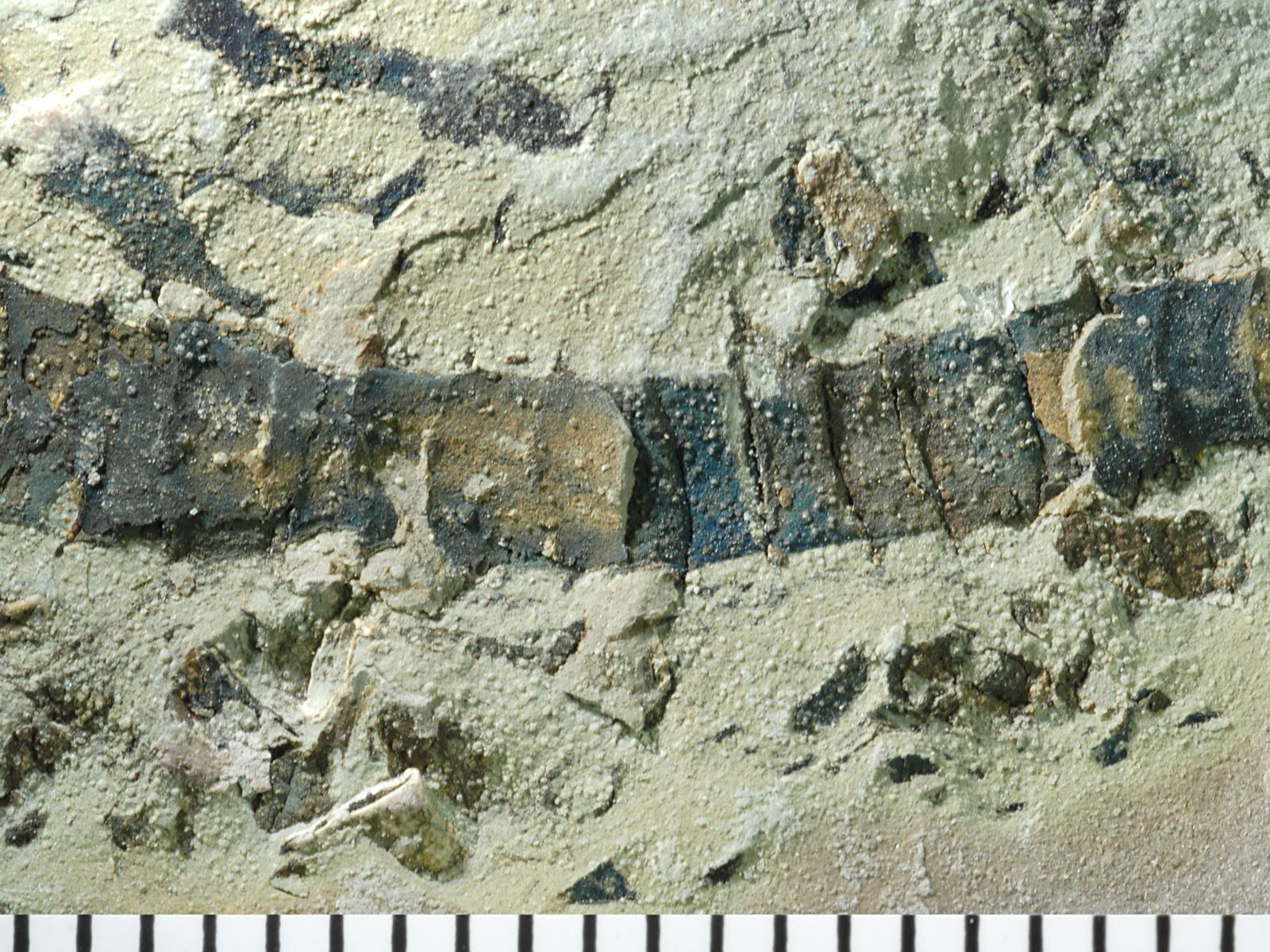 Hyolithellidae | Fossiilid.info