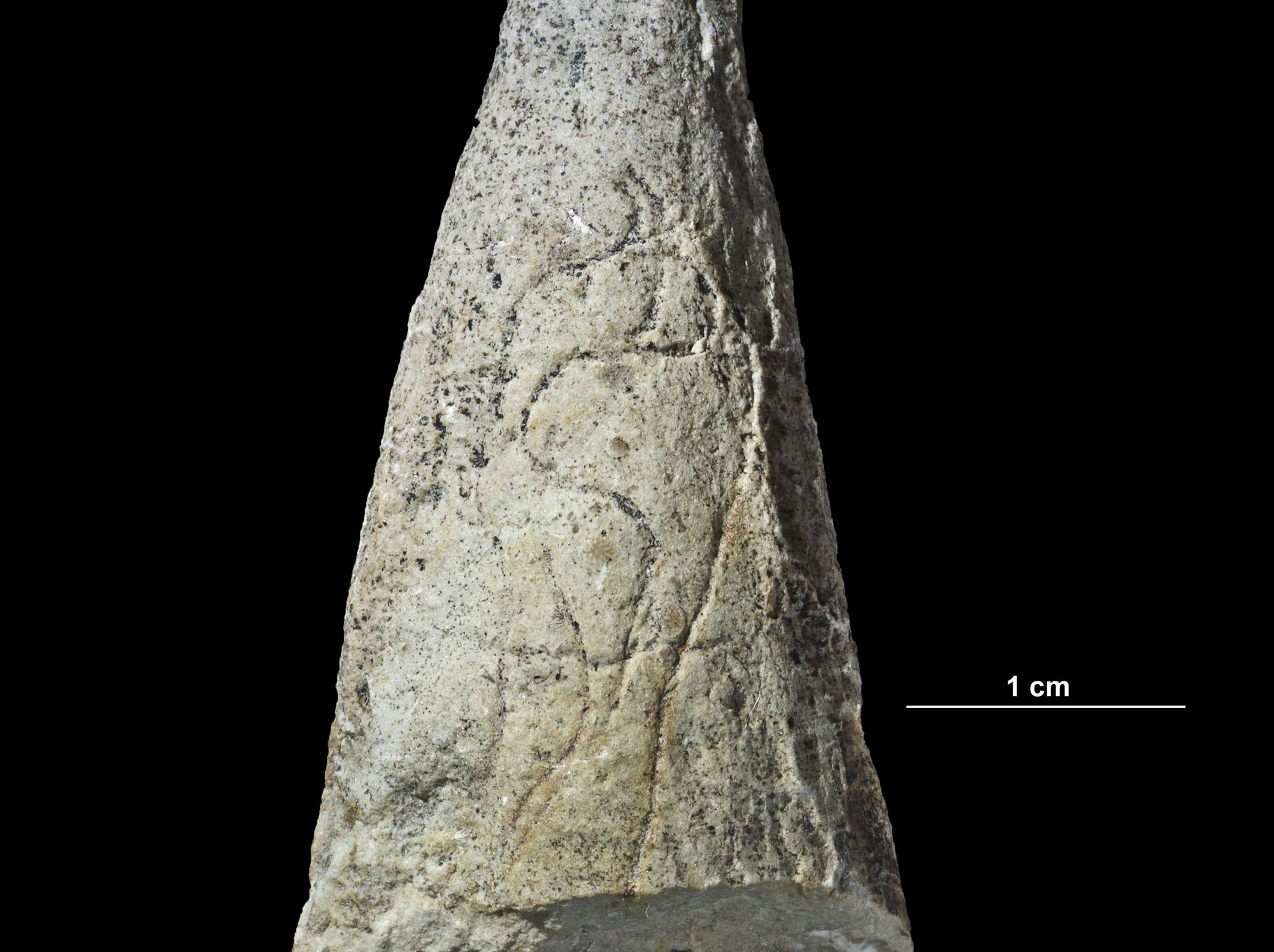 Cochlichnus | fossiilid.info