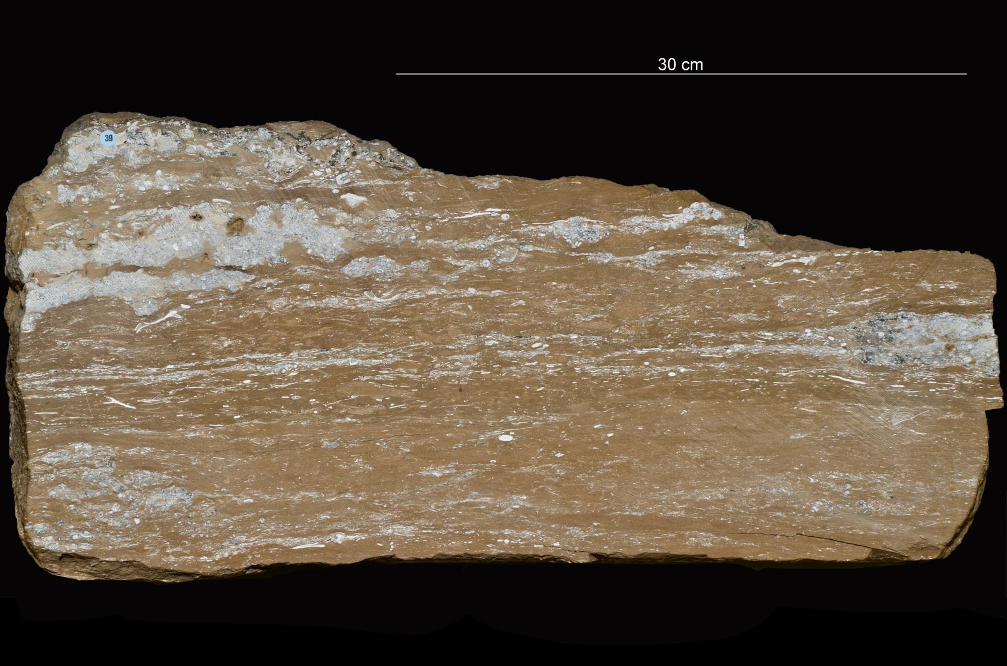 Mineraalid, kivimid, maavarad