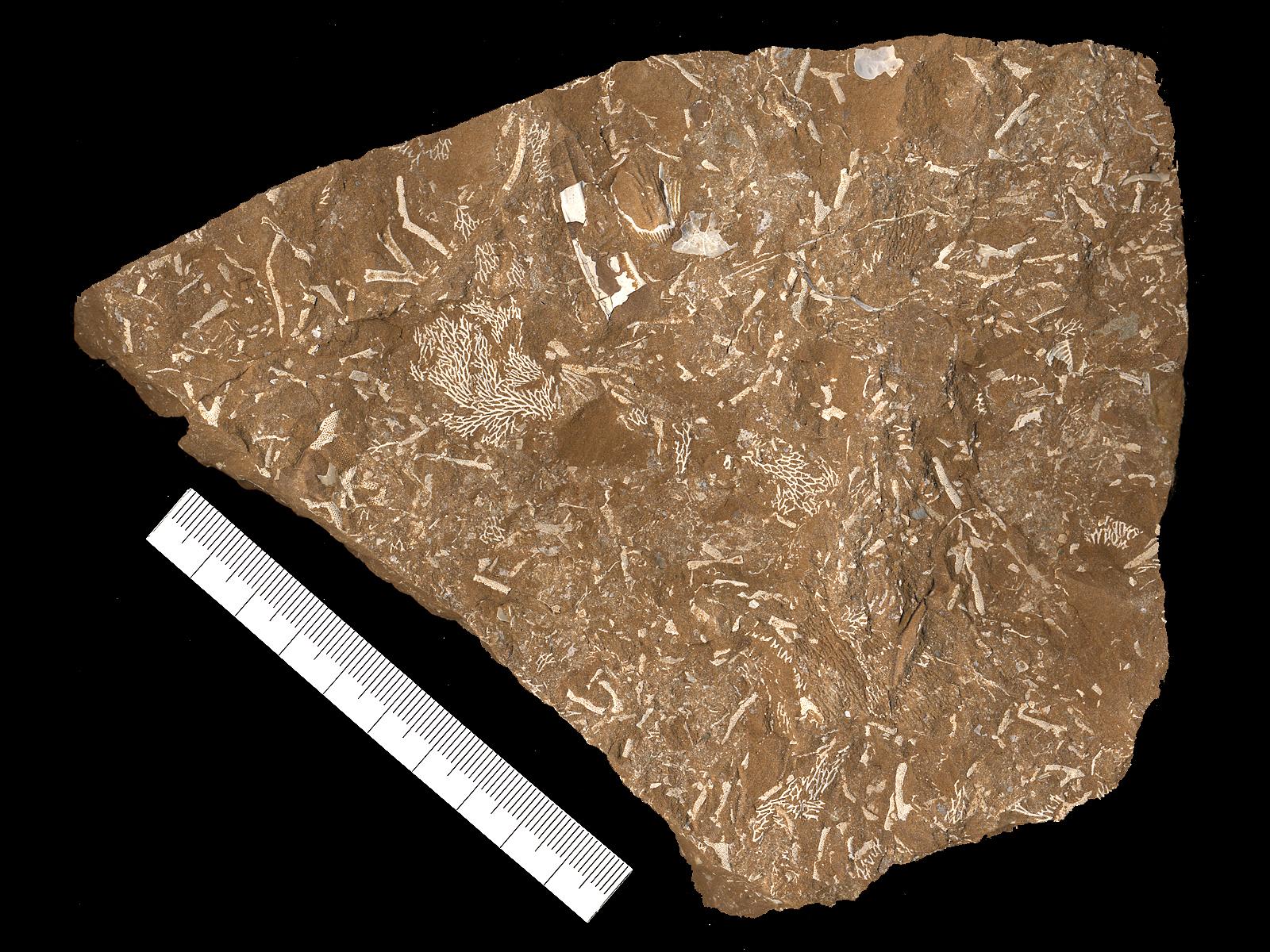 Mineraalid, kivimid, maavarad